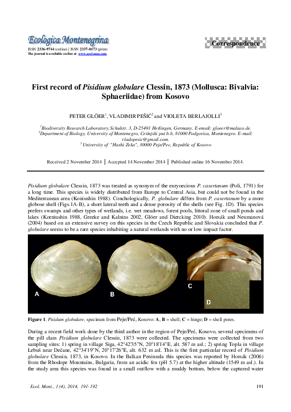 (PDF) First Record of Pisidium Globulare Clessin, 1873 (Mollusca ...
