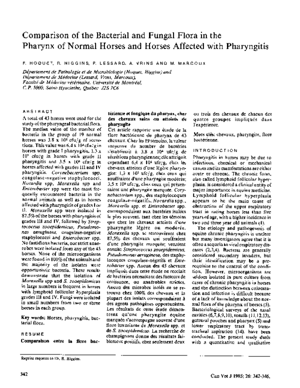 (PDF) Comparison of the bacterial and fungal flora in the pharynx of ...