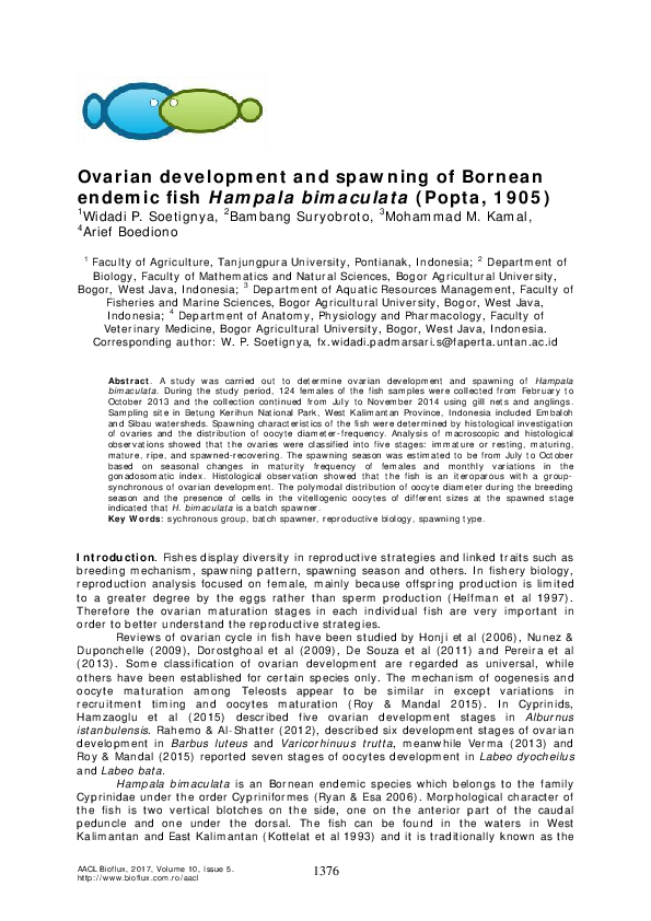 (PDF) Ovarian development and spawning of Bornean endemic fish Hampala ...