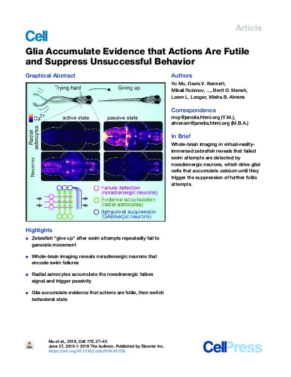 (PDF) Glia Accumulate Evidence that Actions Are Futile and Suppress ...