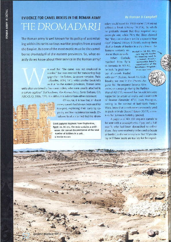 (PDF) The Roman Army in Detail: The Dromadarii - evidence for camel ...