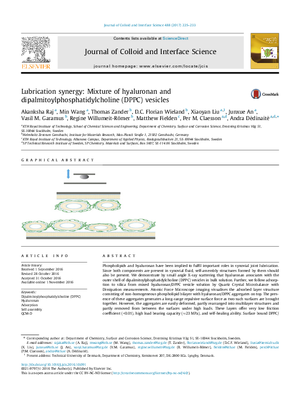 (PDF) Lubrication synergy: Mixture of hyaluronan and ...