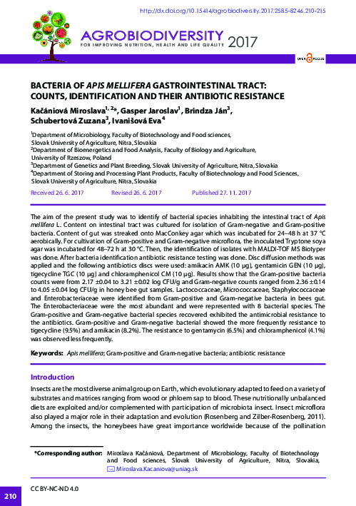 (PDF) Bacteria Of Apis Mellifera Gastrointestinal Tract: Counts ...
