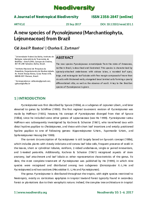 (PDF) A new species of Pycnolejeunea (Marchantiophyta, Lejeuneaceae ...