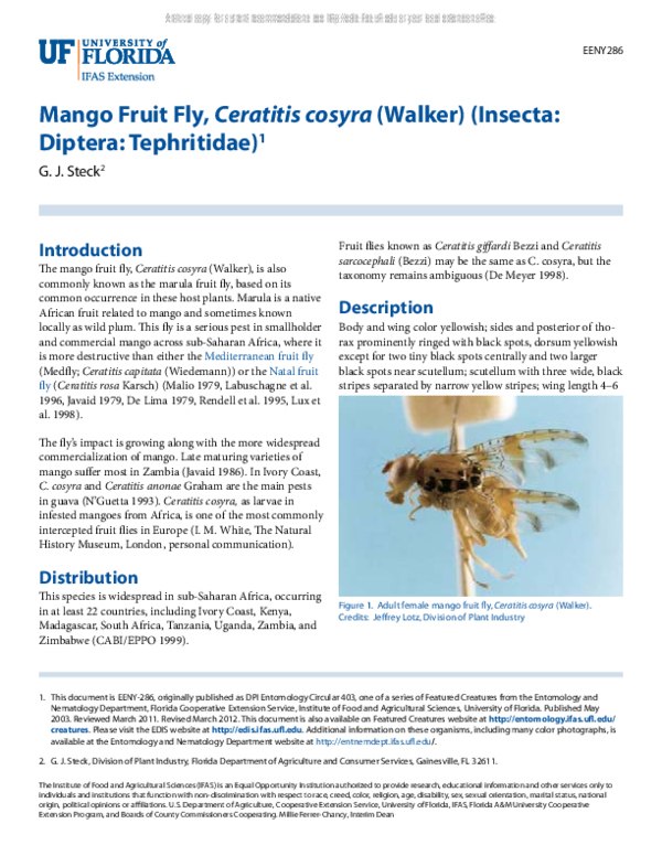 (PDF) Mango Fruit Fly, Ceratitis cosyra (Walker) (Insecta: Diptera: Tephritidae) | GARY STECK ...