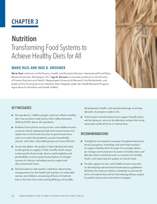 (PDF) Transforming food systems to achieve healthy diets for all