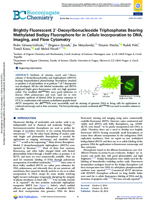 (PDF) Brightly Fluorescent 2′-Deoxyribonucleoside Triphosphates Bearing ...