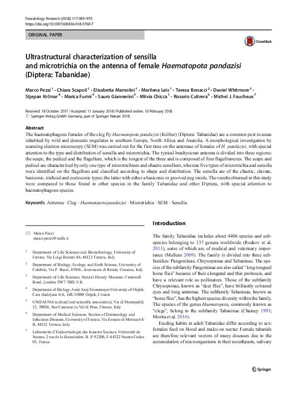 (PDF) Ultrastructural characterization of sensilla and microtrichia on ...