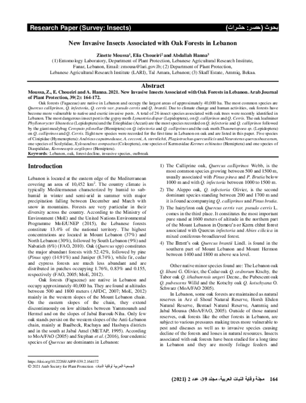 (PDF) New Invasive Insects Associated with Oak Forests in Lebanon