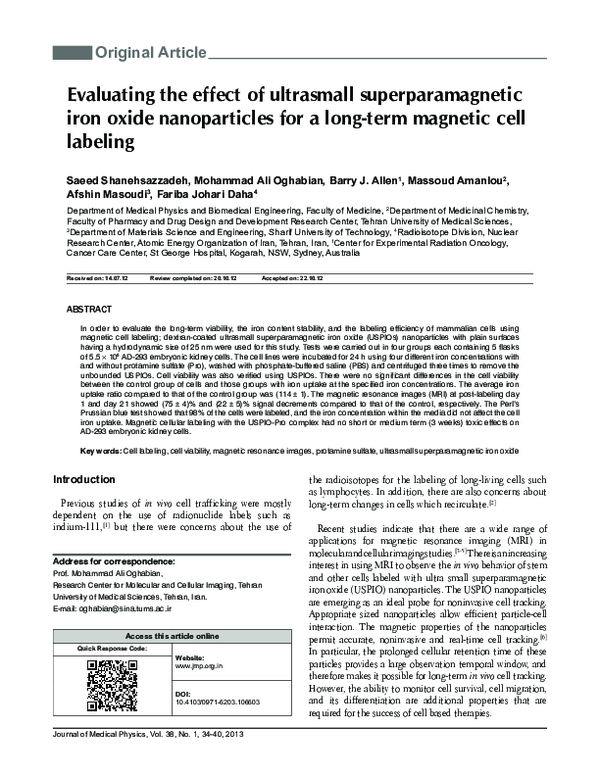 (PDF) Evaluating the effect of ultrasmall superparamagnetic iron oxide ...