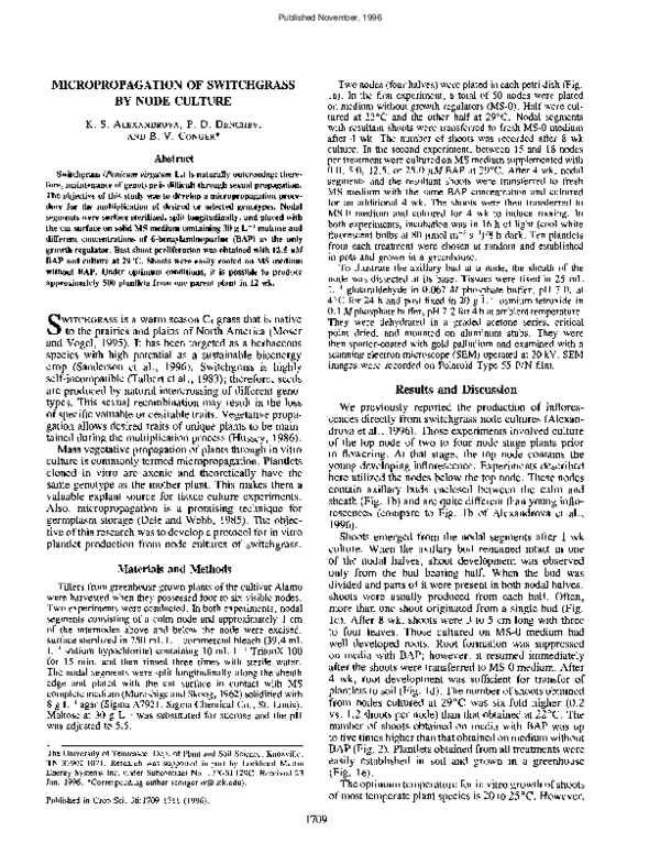 (PDF) Micropropagation of Switchgrass by Node Culture