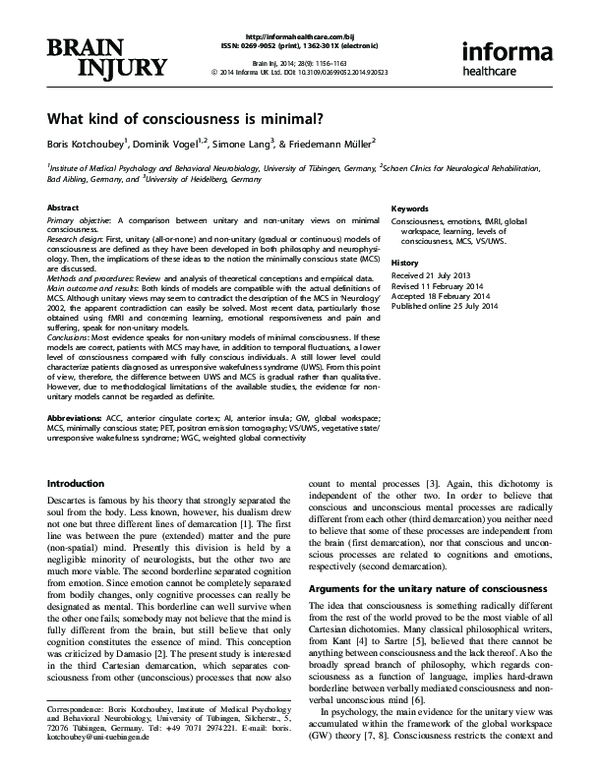 (PDF) What kind of consciousness is minimal?
