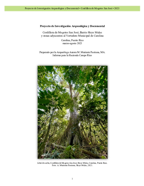 (PDF) Proyecto de Investigación Arqueológica y Documental Cordillera de ...
