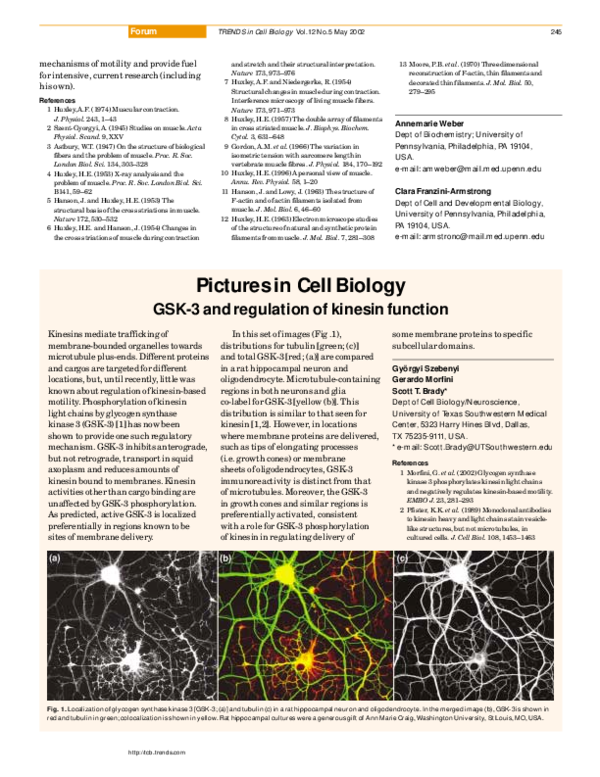 (PDF) Pictures in Cell Biology GSK-3 and regulation of kinesin function