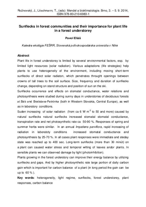 (PDF) Sunflecks in forest communities and their importance for plant ...