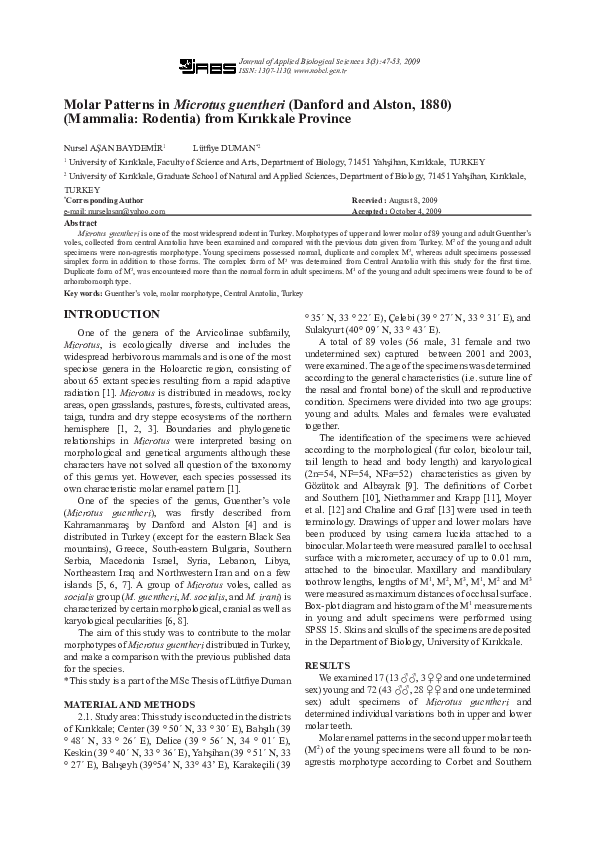 (PDF) Molar Patterns in Microtus guentheri (Danford and Alston, 1880 ...