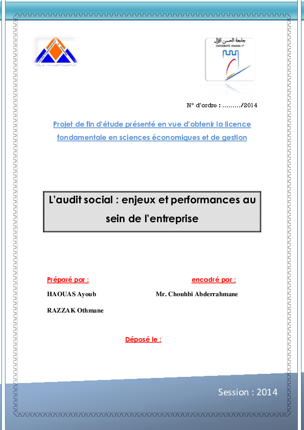 (PDF) PFE 3 audit social
