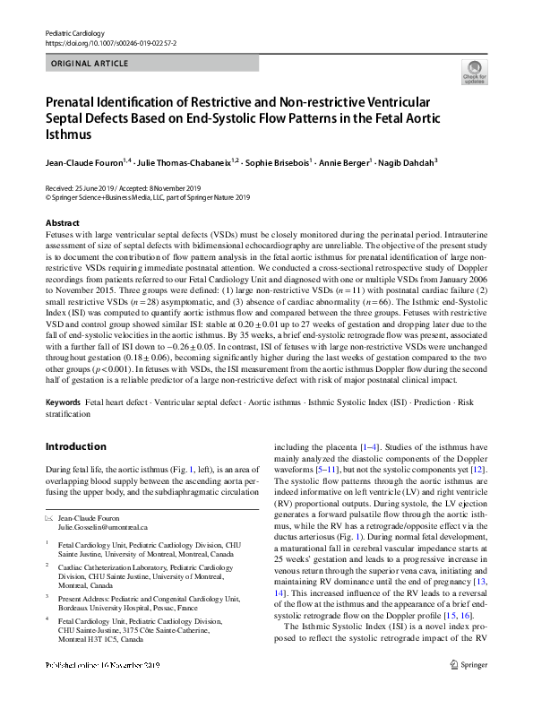 (PDF) Prenatal Identification of Restrictive and Non-restrictive Ventricular Septal Defects ...