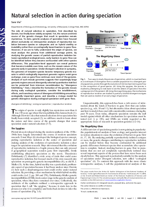 (PDF) Natural selection in action during speciation