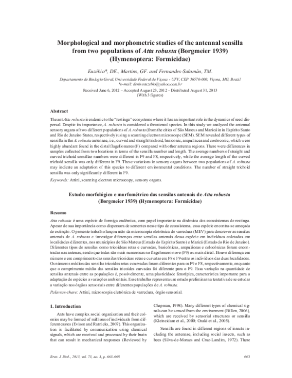 (PDF) Morphological and morphometric studies of the antennal sensilla from two populations of ...