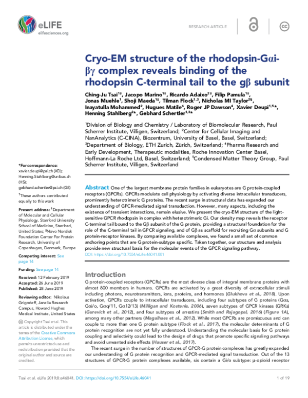 (PDF) Cryo-EM structure of the rhodopsin-Gαi-βγ complex reveals binding ...