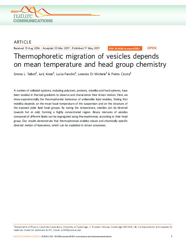 (PDF) Thermophoretic migration of vesicles depends on mean temperature ...