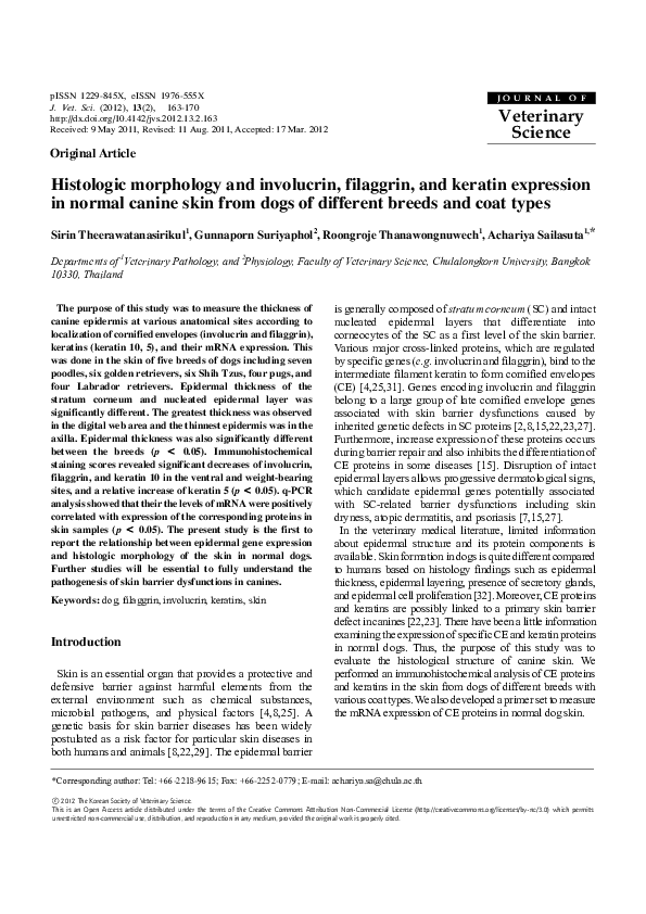 (PDF) Histologic morphology and involucrin, filaggrin, and keratin expression in normal canine ...