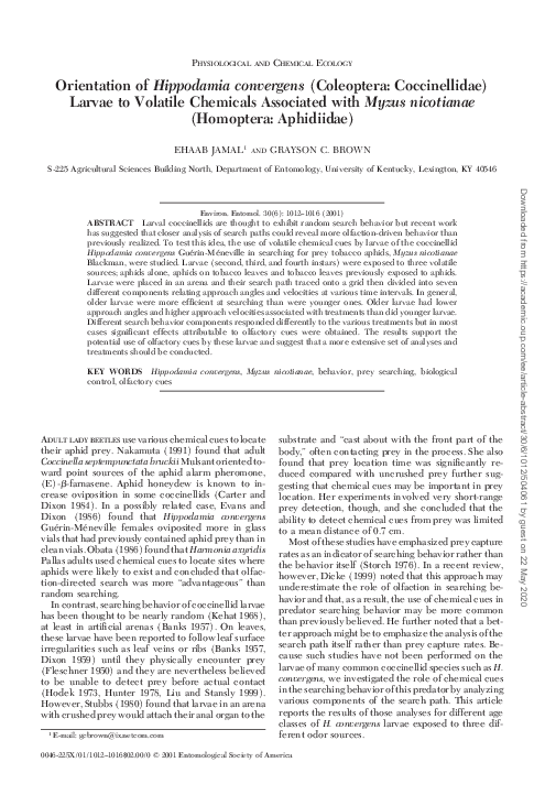 (PDF) Orientation of Hippodamia convergens (Coleoptera: Coccinellidae ...