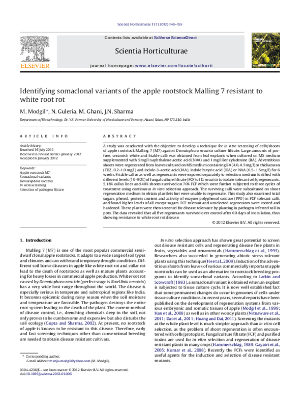 (PDF) Identifying somaclonal variants of the apple rootstock Malling 7 ...