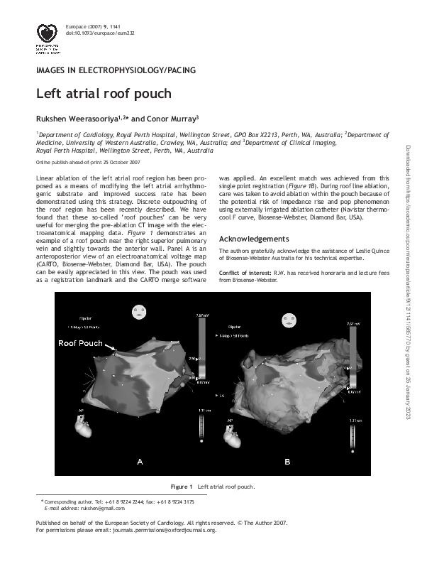 (PDF) Left atrial roof pouch
