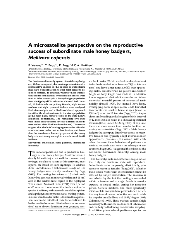 (PDF) A microsatellite perspective on the reproductive success of ...