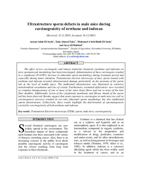 (PDF) Ultrastructure sperm defects in male mice during carcinogenicity ...