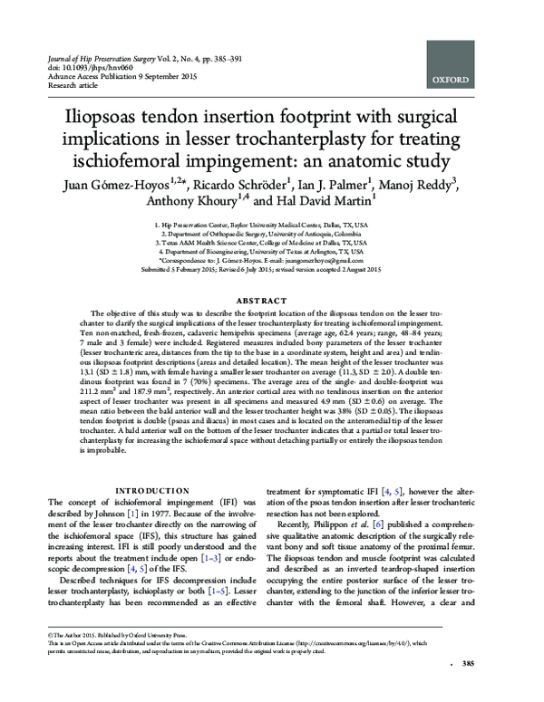 (PDF) Iliopsoas tendon insertion footprint with surgical implications ...