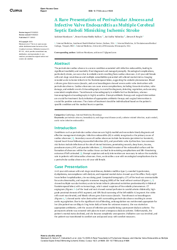 (PDF) A Rare Presentation of Perivalvular Abscess and Infective Valve ...