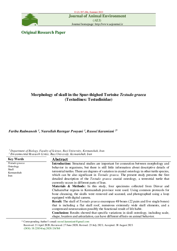 (PDF) Morphology of skull in the Spur-thighed Tortoise Testudo graeca ...
