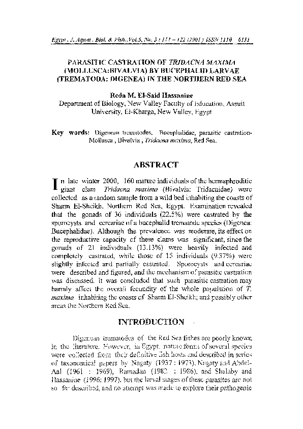 (PDF) PARASITIC CASTRATION OF TRIDACNA MAXIMA (MOLLUSCArBIVALVIA) BY ...