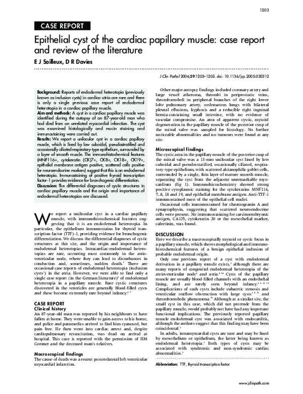 (PDF) Epithelial cyst of the cardiac papillary muscle: case report and ...