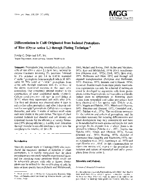 (PDF) Differentiation in calli originated from isolated protoplasts of rice (Oryza sativa L ...