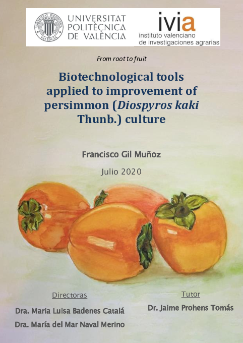 (PDF) Biotechnological tools applied to the improvement of persimmon ...