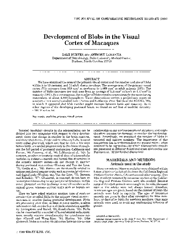 (PDF) Development of blobs in the visual cortex of macaques
