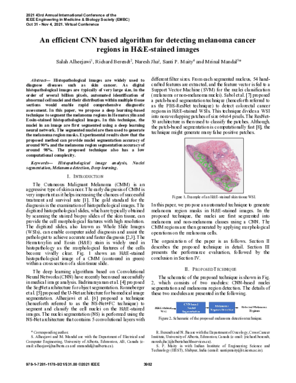(PDF) An efficient CNN based algorithm for detecting melanoma cancer ...