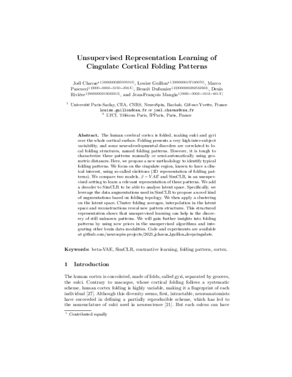 (PDF) Unsupervised Representation Learning of Cingulate Cortical Folding Patterns | Joël Chavas ...