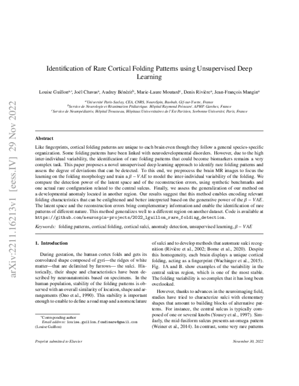 (PDF) Identification of Rare Cortical Folding Patterns using Unsupervised Deep Learning