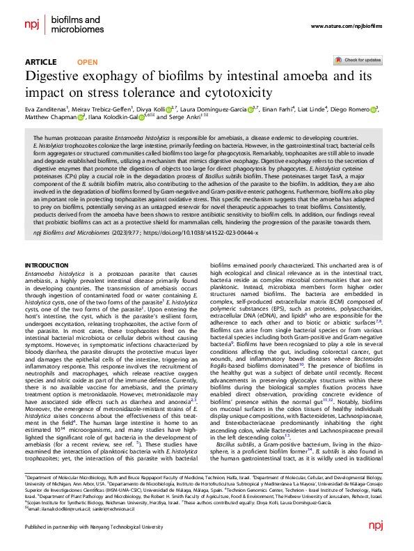 (PDF) Digestive exophagy of biofilms by intestinal amoeba and its ...