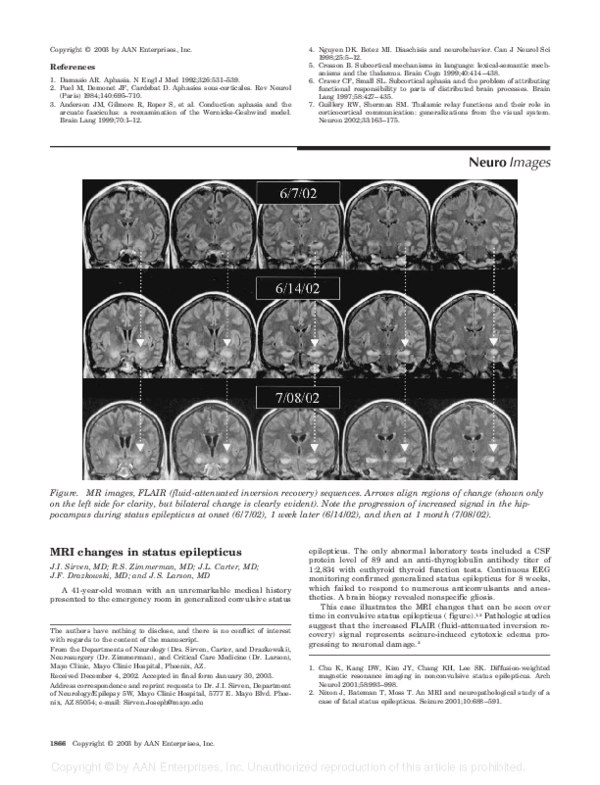(PDF) MRI changes in status epilepticus