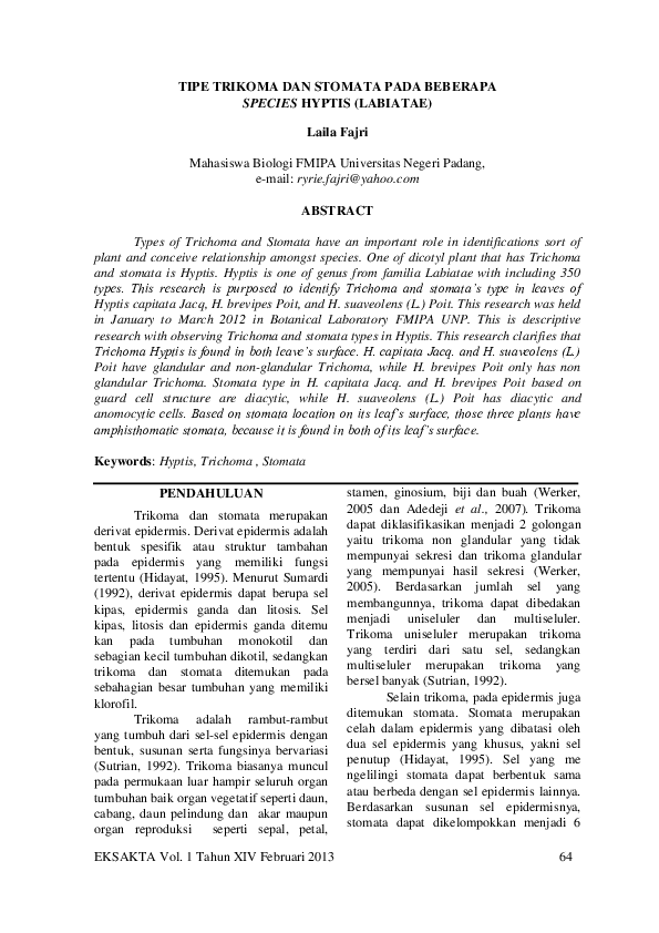 (PDF) Tipe Trikoma Dan Stomata Pada Beberapa Species Hyptis (Labiatae)