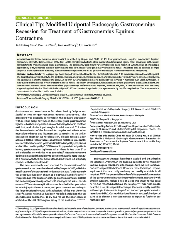 (PDF) Clinical Tip: Modified Uniportal Endoscopic Gastrocnemius ...