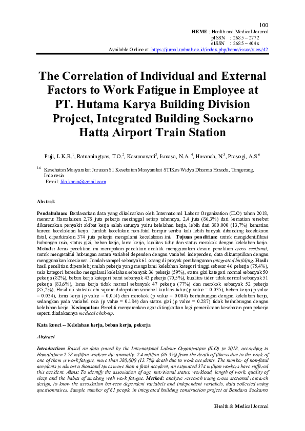 (PDF) The Correlation of Individual and External Factors to Work ...