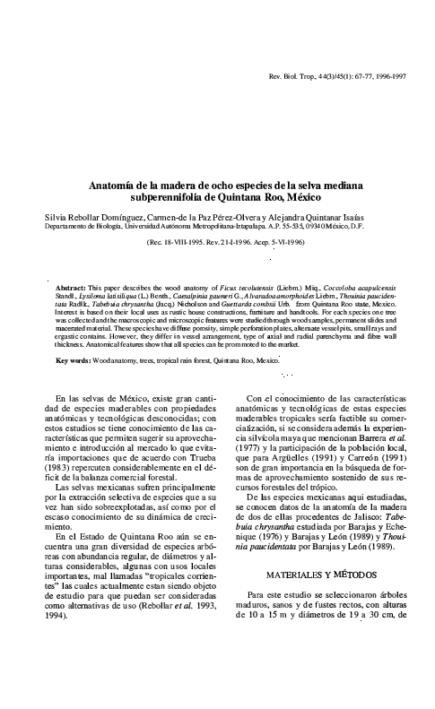 (PDF) Anatomía de la madera de ocho especies de la selva mediana ...
