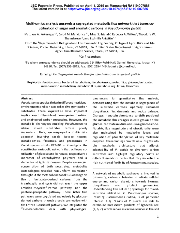 (PDF) Multi-omics analysis unravels a segregated metabolic flux network that tunes co ...